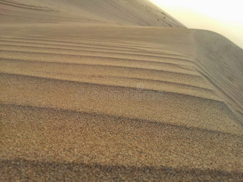 Sand dune in KSA stock photo. Image of sanddune, middleeast - 52609220