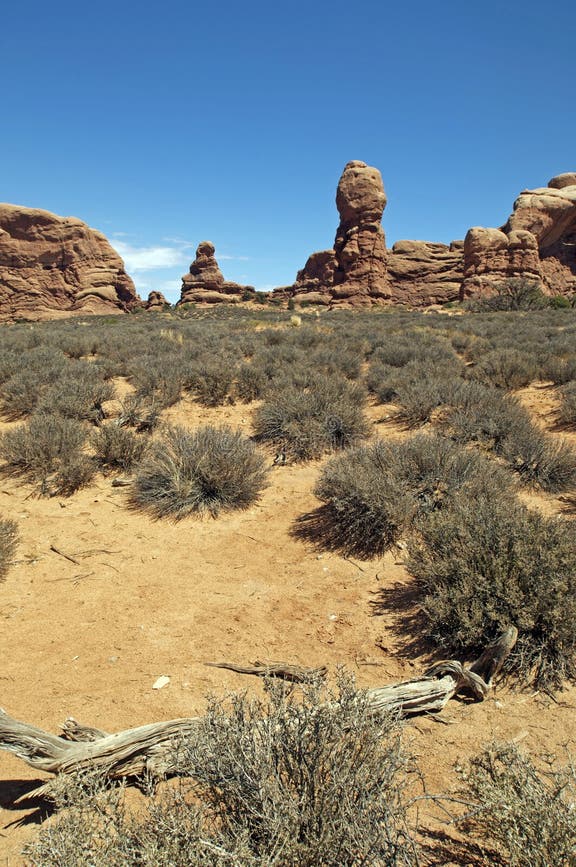 Desert in Moab Utah stock photo. Image of abstract, erosion - 12947862