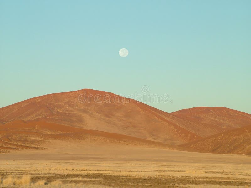 Deadvlei (Namib desert) stock photo. Image of dead, namib - 5136838