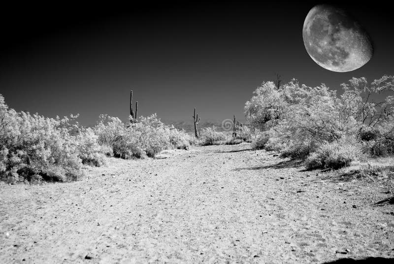 Desert Moon stock image. Image of desolate, mexico, meteorology - 45802065