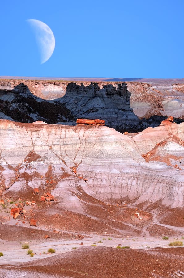 Desert Moon stock photo. Image of autumn, hope, fury - 47294688