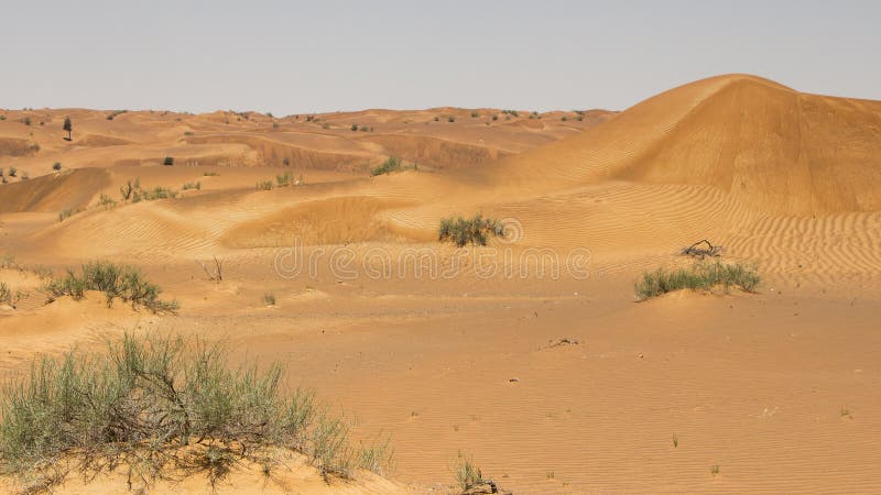 Desert near Dubai stock photo. Image of emirates, east - 45102128