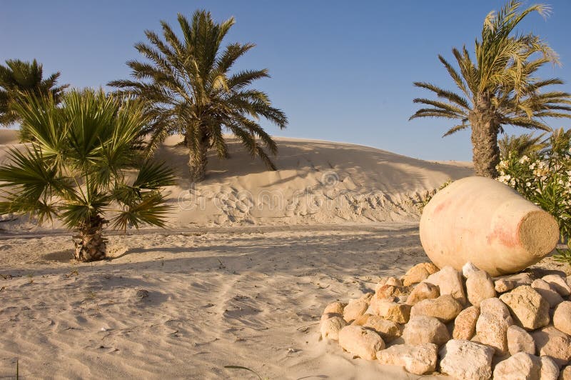 Desert Oasis stock image. Image of holiday, land, destinations - 2880511