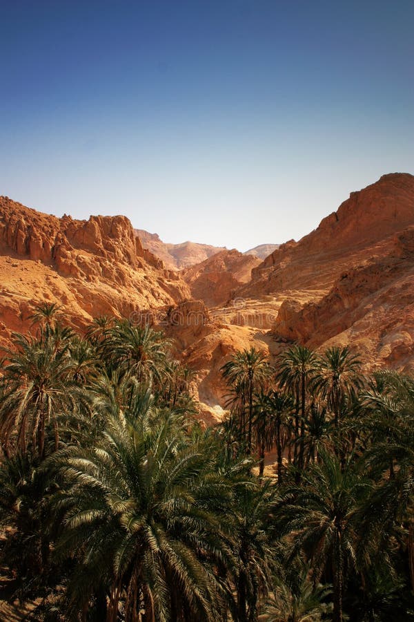 Desert oasis stock photo. Image of east, barren, landscape - 658882