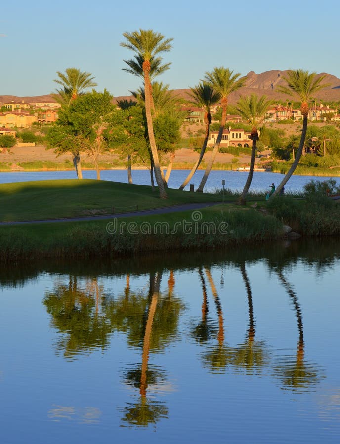 Desert Oasis In Nevada stock image. Image of ecology - 131688413