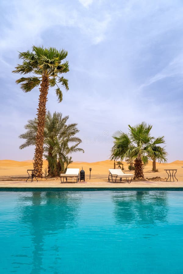 Desert Oasis with Palm Trees and Pool Reflection. Stock Image - Image ...