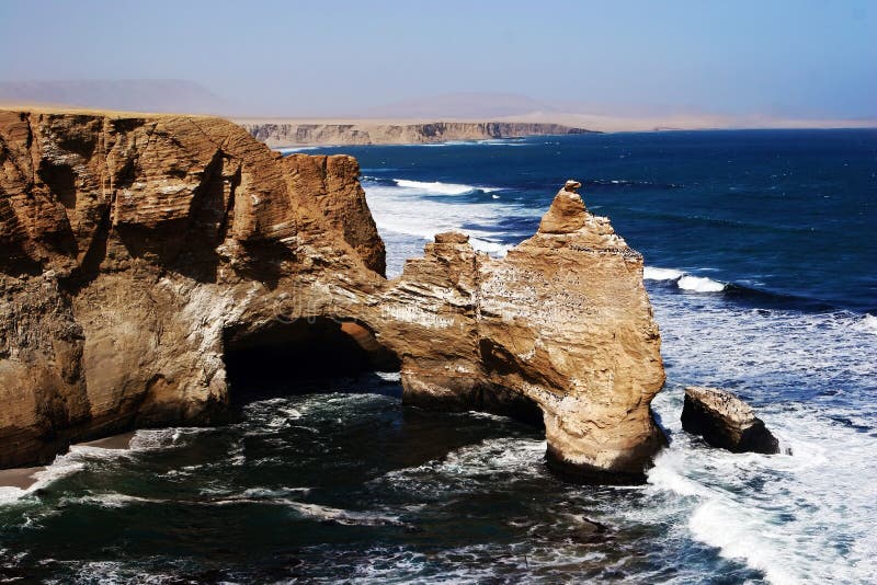 Desert and ocean stock image. Image of cold, bird, melt - 4278201