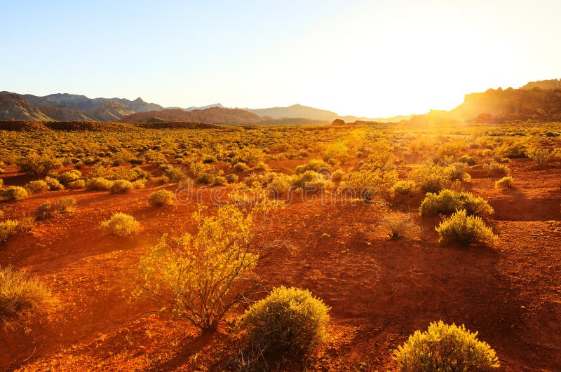 Desert over sunset, Nevada stock image. Image of geology - 72778431