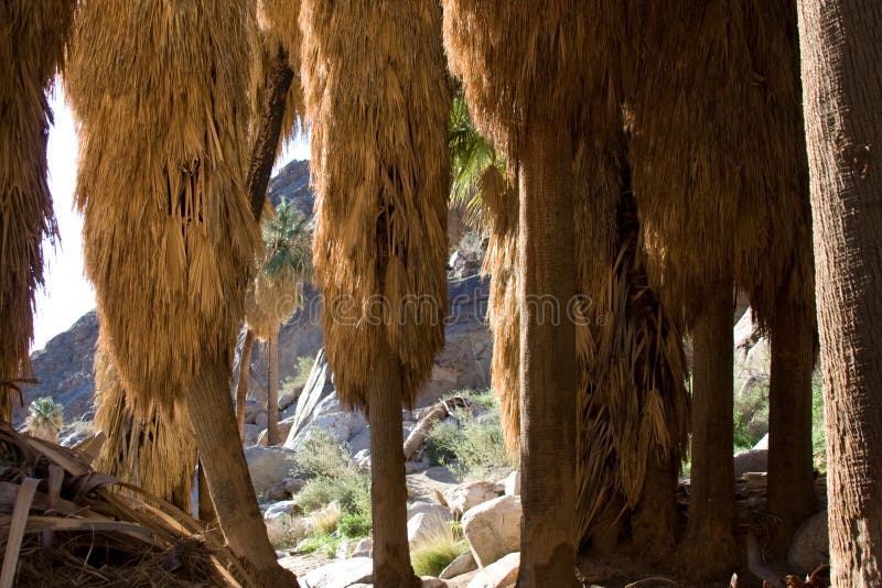 Barren desert country stock image. Image of landscape - 3936161