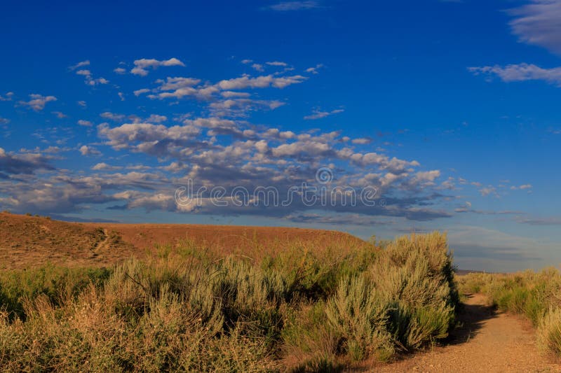 Desert Path June 26th stock photo. Image of renovation - 323801954