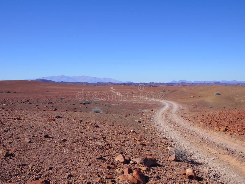 Desert Path stock image. Image of desert, blue, tree, arid - 3564525