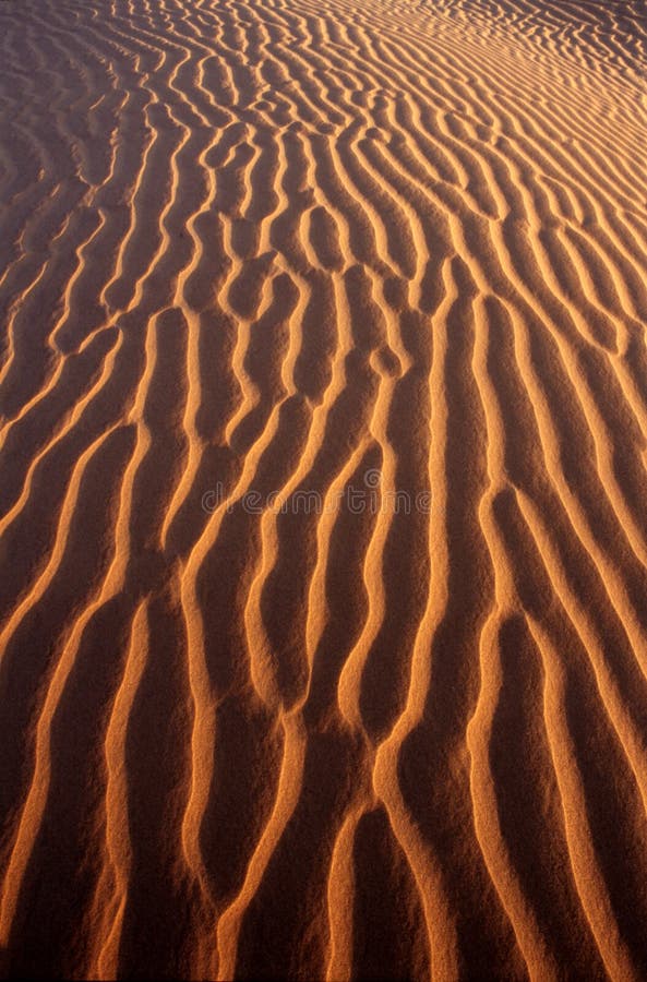 Desert Fashion stock image. Image of posed, tone, fashion - 626571