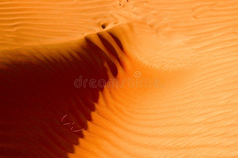 Desert stock photo. Image of ecoregion, landscape, yellow - 6011926