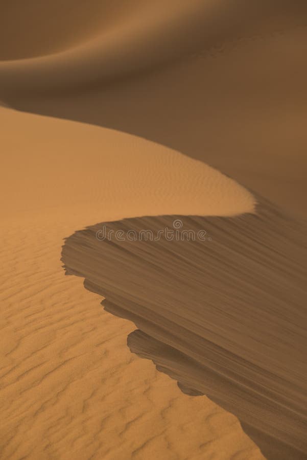 Sand desert pattern stock photo. Image of ripple, yellow - 146716996