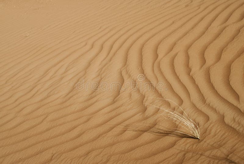 Desert Patterns stock image. Image of sand, bare, nature - 12416121