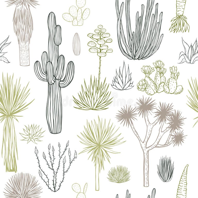 Desert Plants Stock Illustrations – 40,946 Desert Plants Stock ...