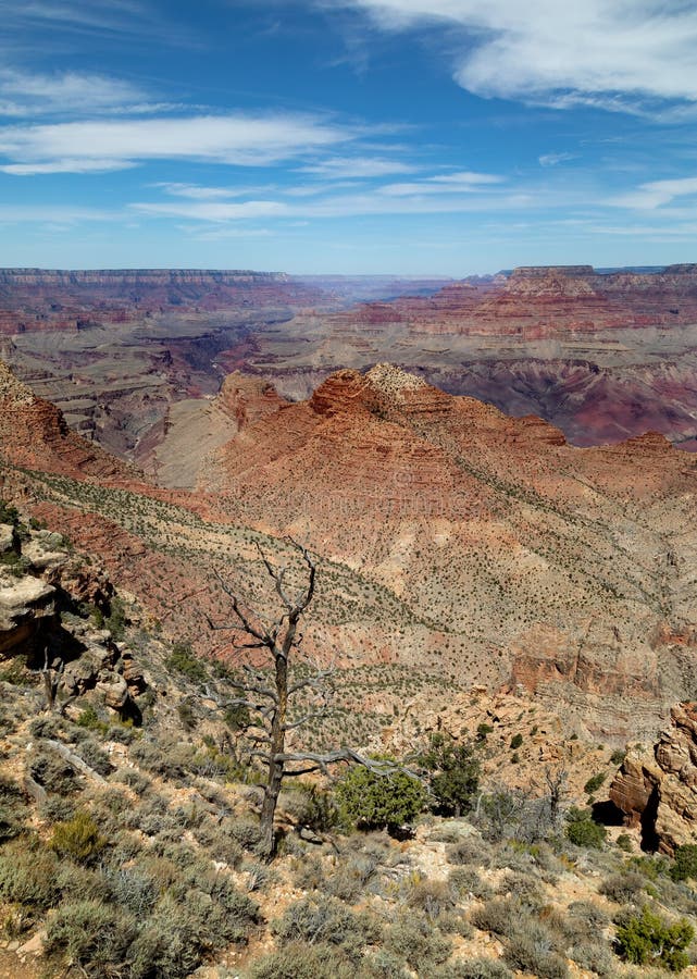 Desert Point Grand Canyon in the Usa Stock Photo - Image of southwest ...
