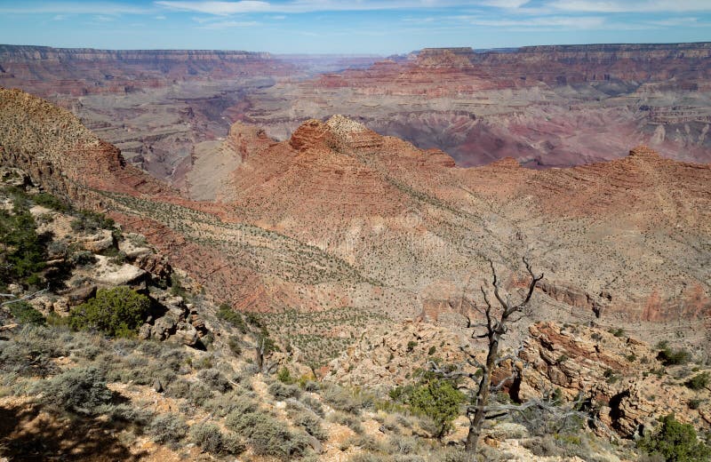 Desert Point Grand Canyon in the Usa Stock Photo - Image of cliff, high ...
