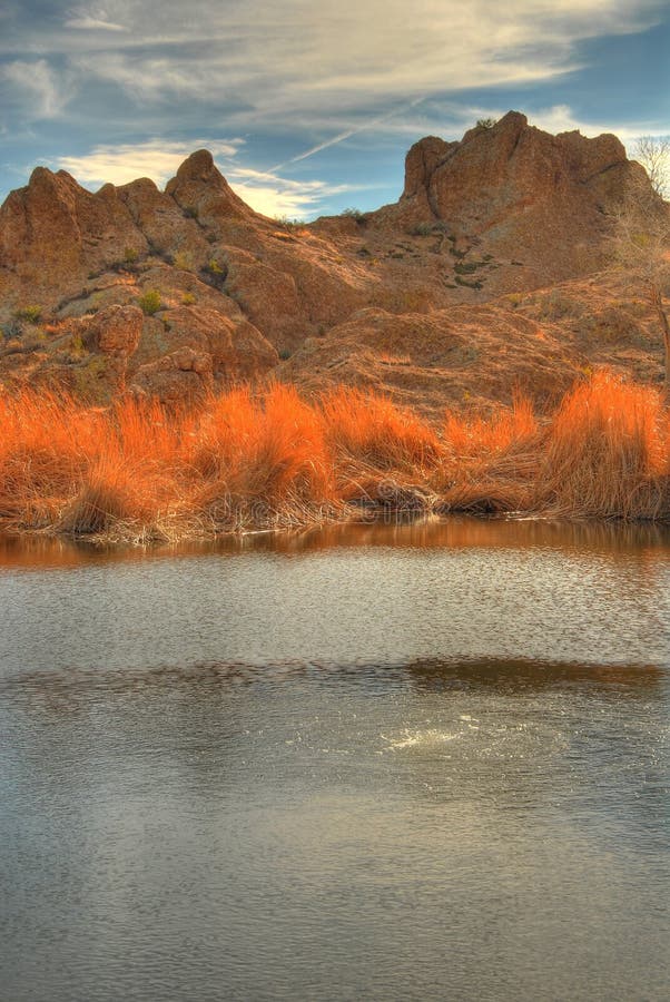 Desert Pond stock image. Image of cloud, juniper, desert - 7794147