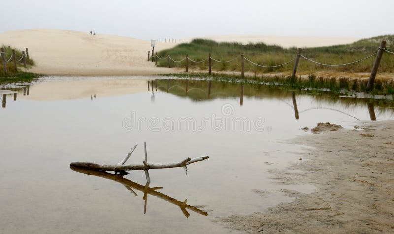 Desert Pond in Autumn Colors Stock Image - Image of outdoors, dark ...