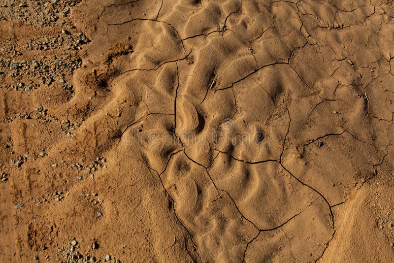 Desert puddle dry ground stock photo. Image of ecological - 132589508