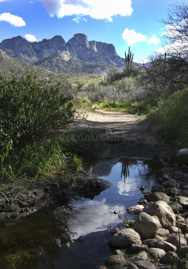 Desert Reflection stock photo. Image of park, reflection - 112862