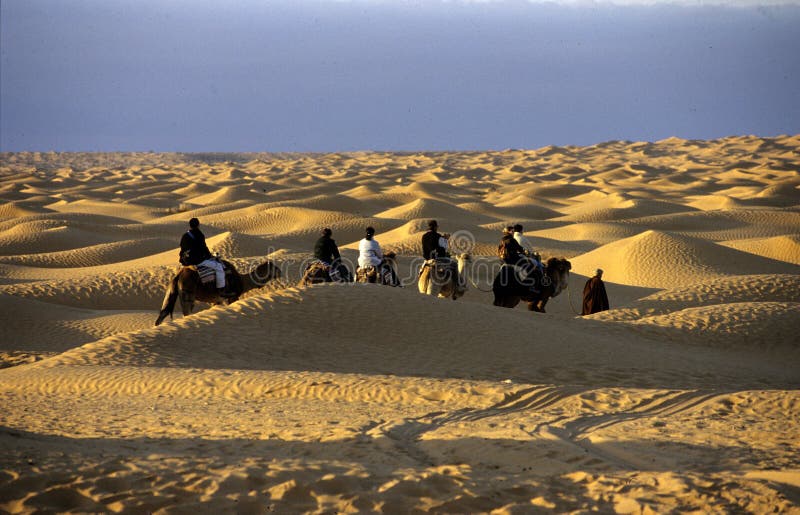 Desert Ride stock photo. Image of tours, desert, africa - 3381364