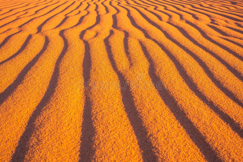 Desert and Ripples in Warm Evening Sunlight Stock Photo - Image of ...