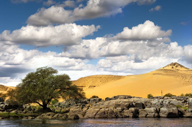 Desert River stock photo. Image of terrain, earth, vacation - 14545940