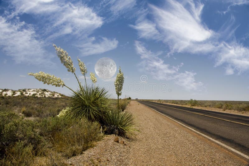 Desert Road stock photo. Image of dune, horizontal, outdoors - 16539240