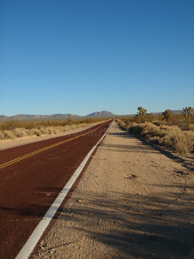 Desert Road stock photo. Image of cactus, lonely, markings - 17969900