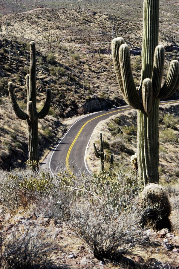 Desert Road 3 stock image. Image of desert, road, tourists - 13913589