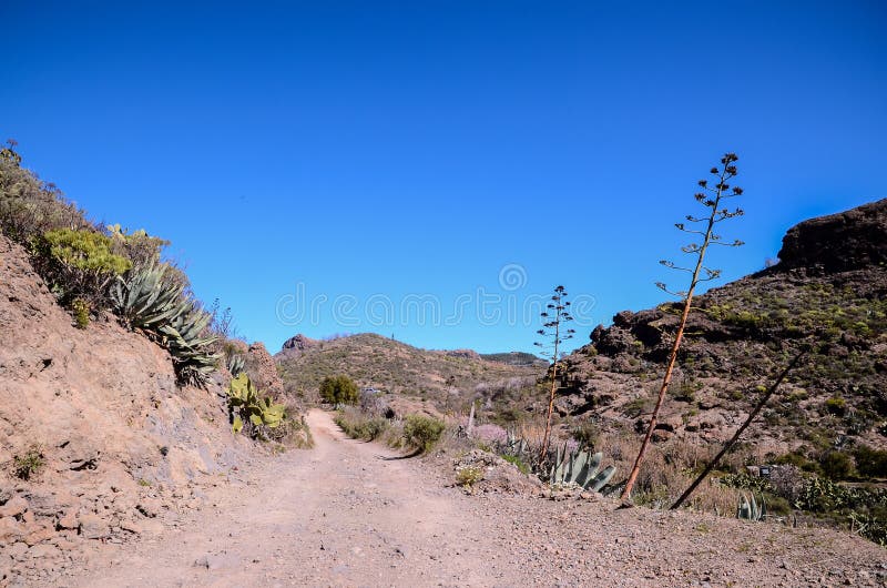 Desert Road stock photo. Image of desert, sand, road - 65407254