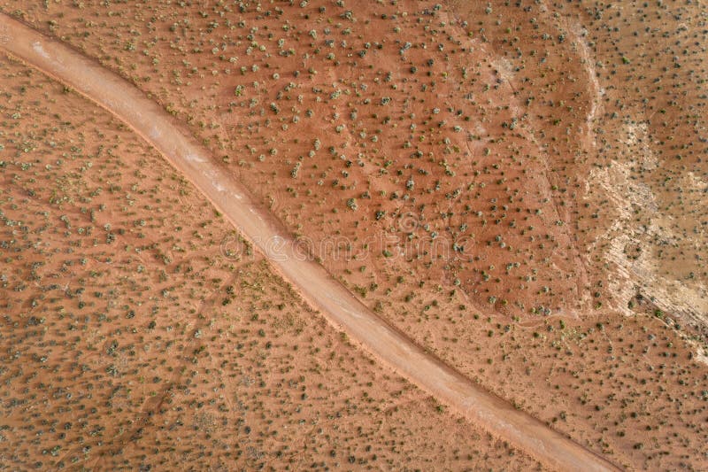 Aerial Top View of Forest Landscape from Above, Pine Trees Nature ...