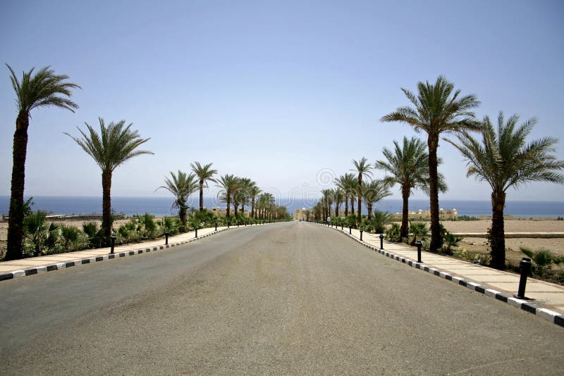 Desert Road In The Red Sea Reg Picture. Image: 2825648
