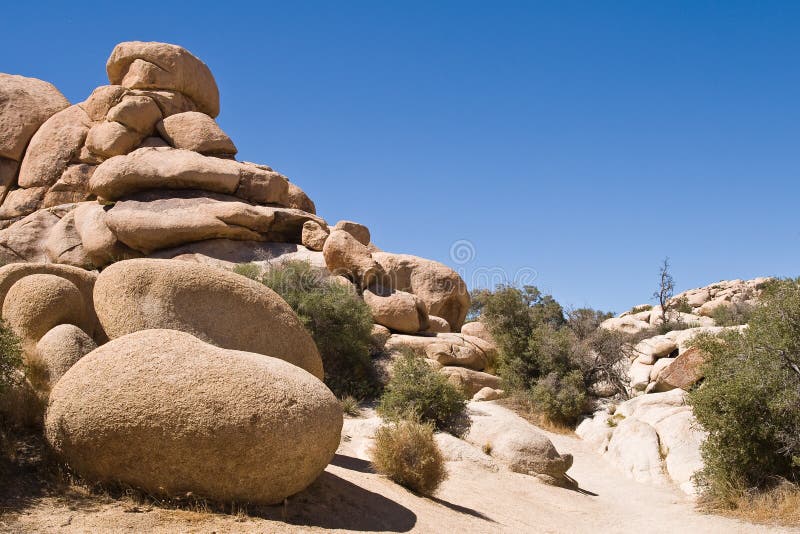 Desert Rocks stock photo. Image of park, tree, desert - 25739156
