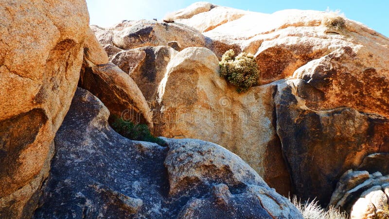Desert rocks and scrub stock photo. Image of scrub, tree - 138651210