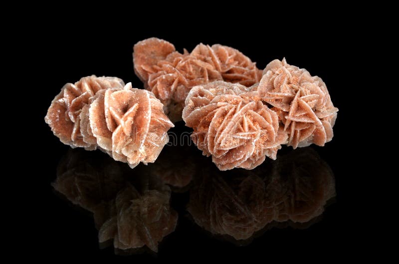 Desert Rose Rosette Crystal Closeup Stock Photo - Image of forming ...