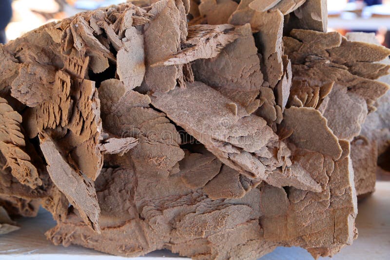 Desert rose (crystal) stock image. Image of radiating - 52443197