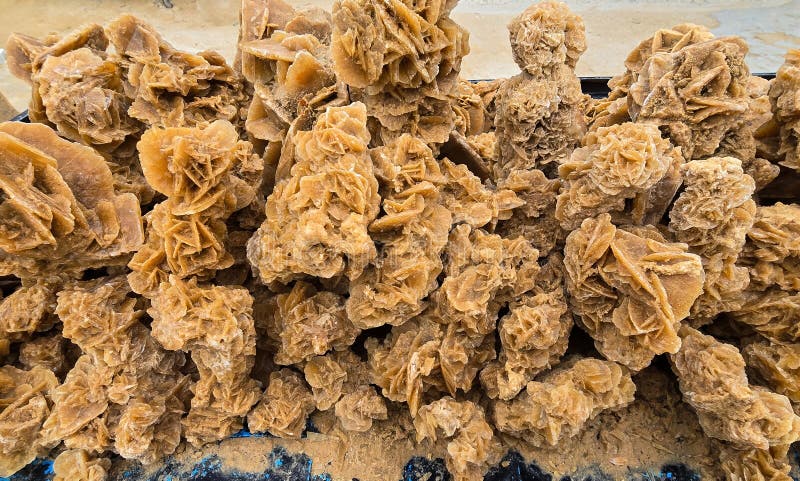 Desert Rose Formations from Tunisia in Close-up View Stock Image ...