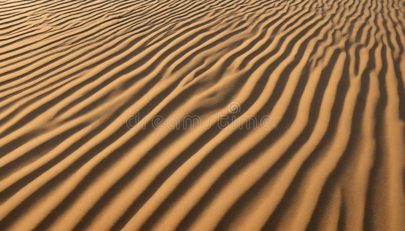 The Desert S Whisper: a Sand Dune S Rippling Surface at Sunset Stock ...