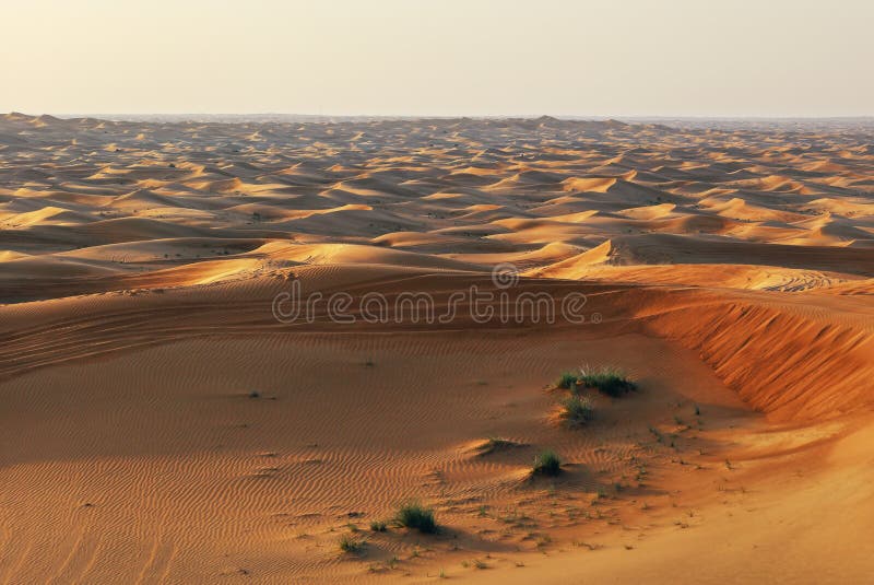 Desert Safari with Big Dunes Near Dubai, United Arab Emirates Stock ...