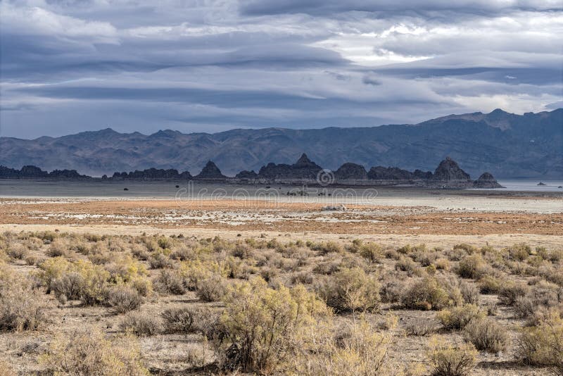 Desert Sage Grows Along the Old Perimeter of Pyramid Lake in Nevada ...