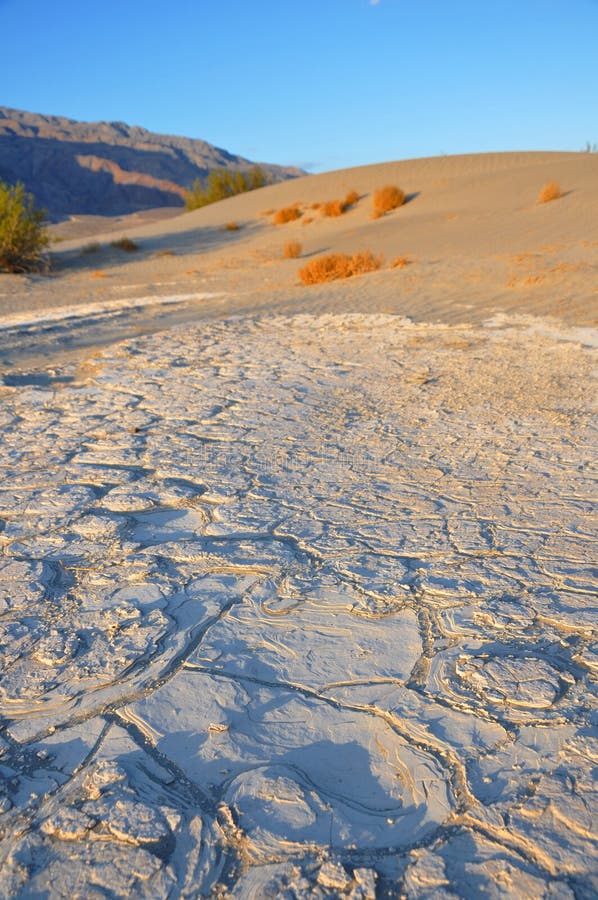 Desert Salt Pan stock photo. Image of national, alone - 11726534