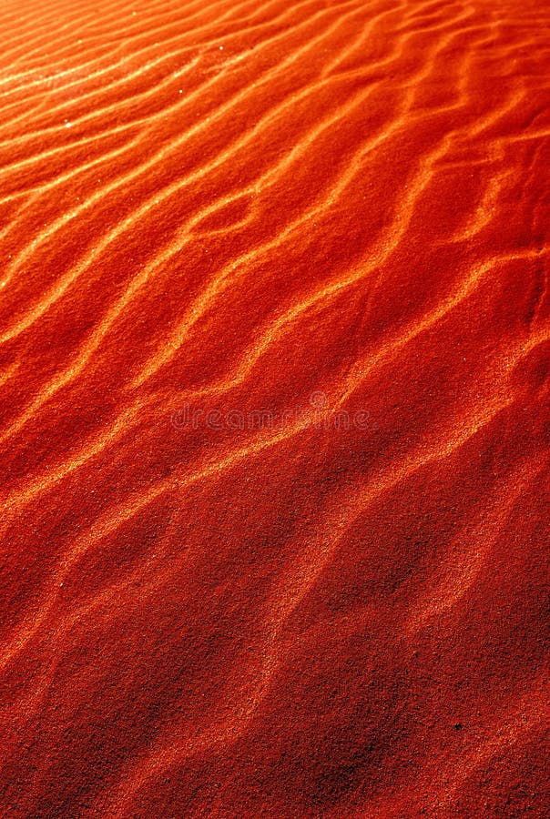 Desert, sand stock image. Image of scenic, alone, outdoor - 11200683