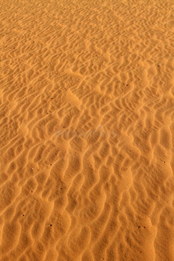 Sand floor texture stock photo. Image of desert, dust - 18738120