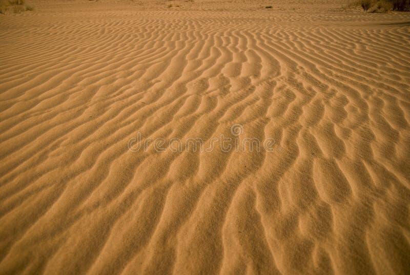 Desert sand stock photo. Image of travel, natural, prints - 18773486