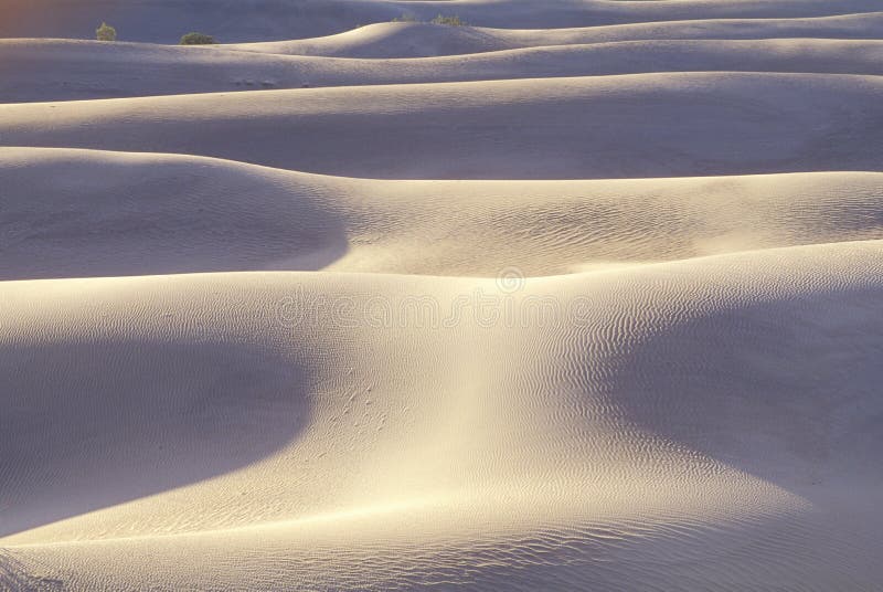 Desert Sand stock image. Image of dunes, land, north - 26261505