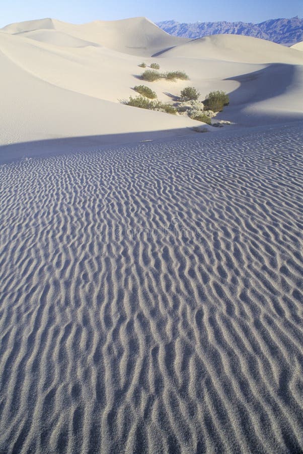 Desert Sand stock image. Image of land, death, america - 26263743