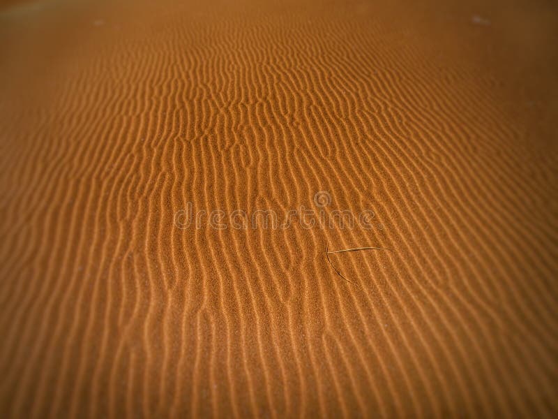 Desert Sand Picture. Image: 82994066